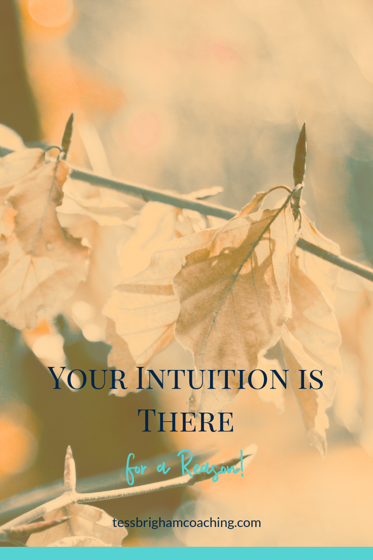 Your Intuition Is There For A Reason! - Tess Brigham